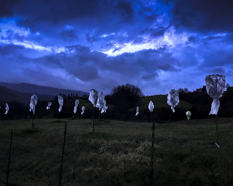 Διεθνής έκθεση φωτογραφίας Night Photography | Event | LiFO